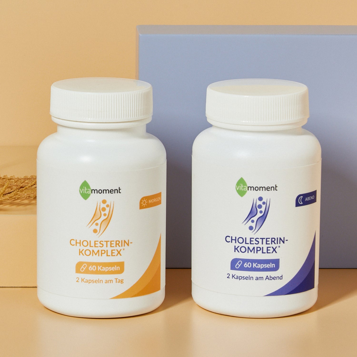 Cholesterin-Komplex ️ für Herzfunktion & Gefäße