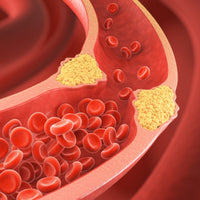Cholesterin-Komplex ️ für Herzfunktion & Gefäße